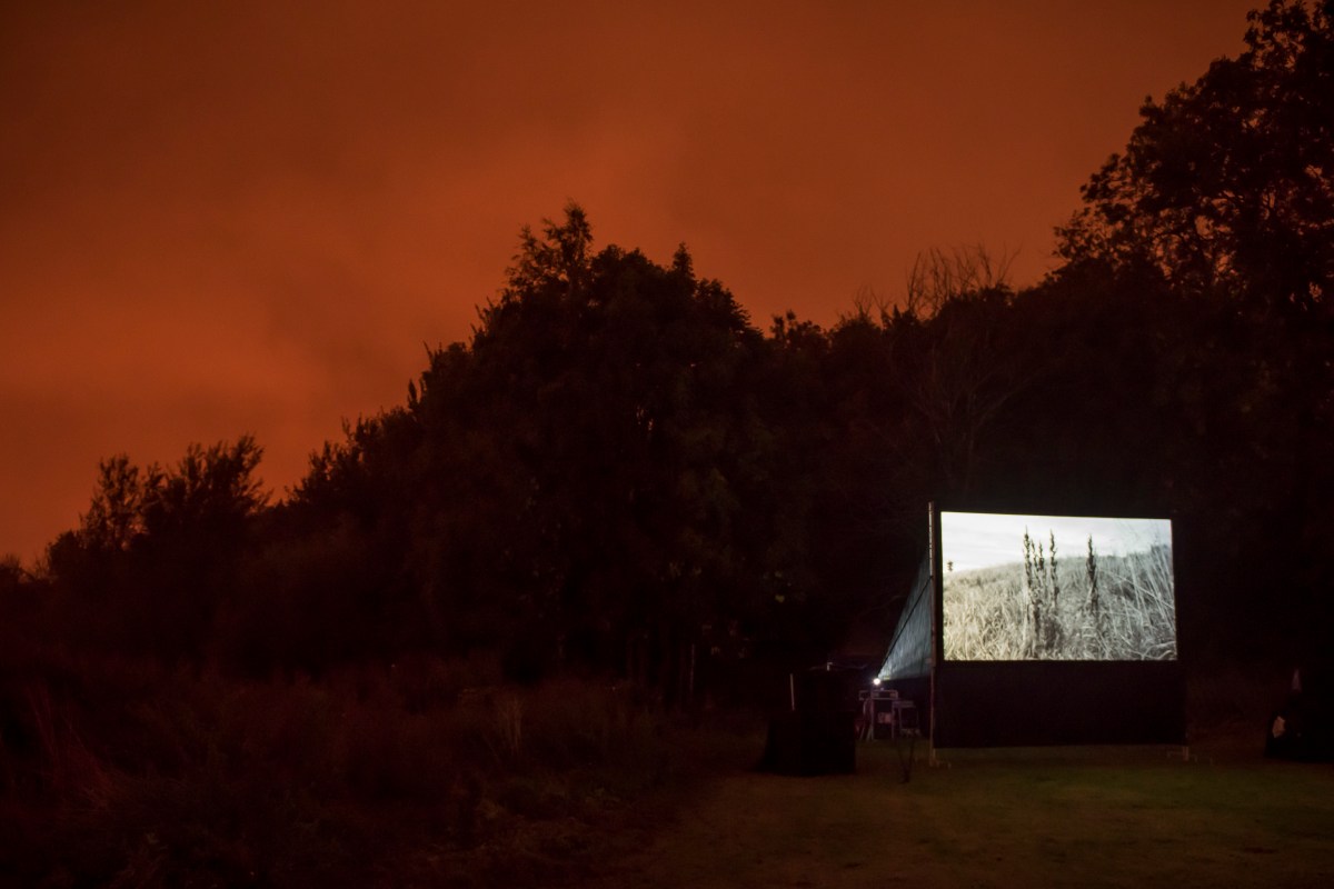 Public Art Profile – ‘Tolka Nights’, Visual Artists’ News Sheet, Nov ...